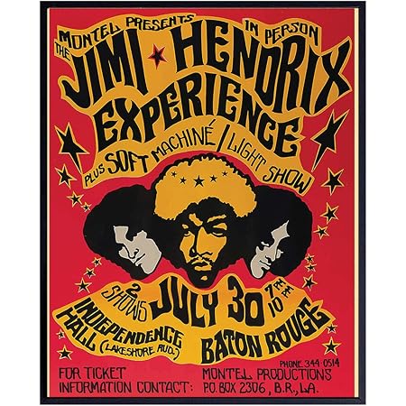 Amazon.com: Keviewly Jimi Hendrix Concert Tin Signs Metal Poster ...