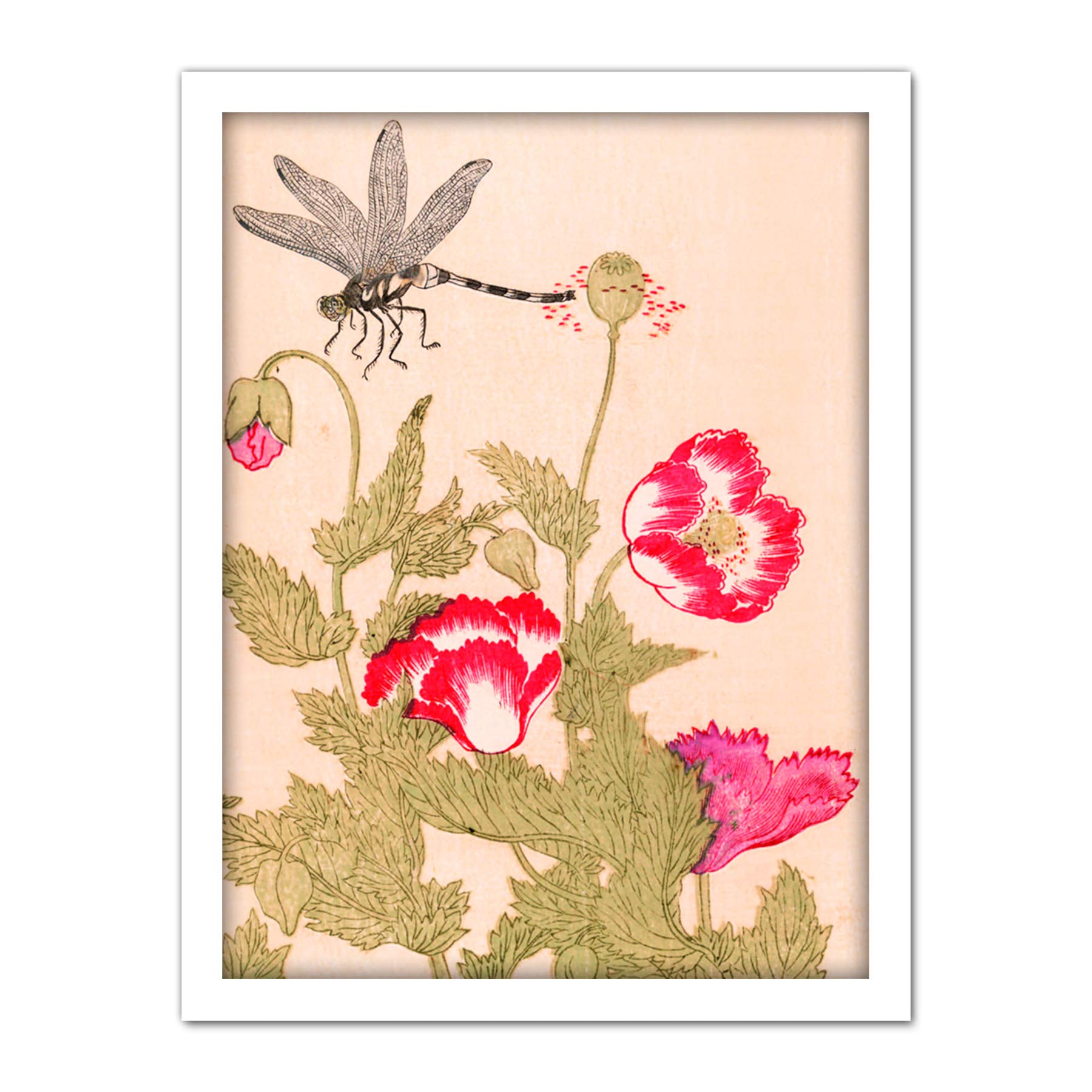 Japanese Dragonfly Art