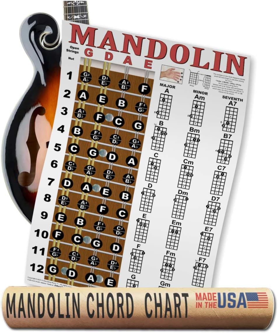 Amazon.com: Mandolin Classic Style Easy Chord & Fretboard Note Chart ...