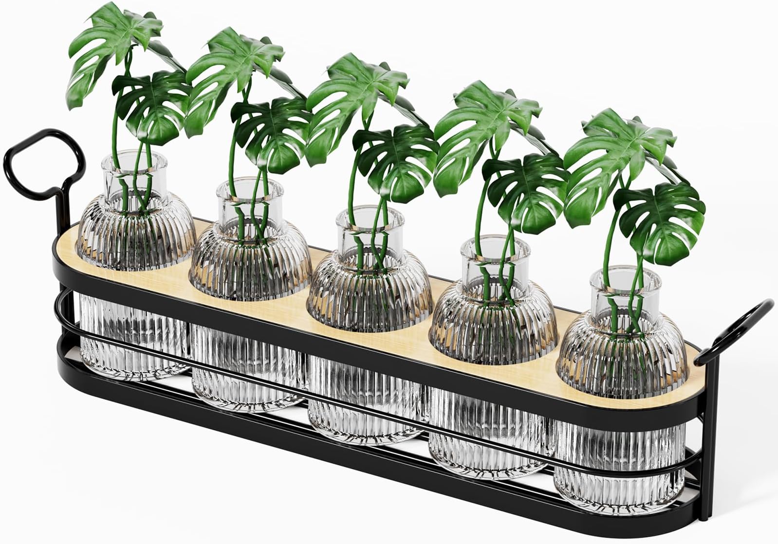 Amazon.com: Plant Terrarium for Propagating Hydroponic, Glass Planter ...