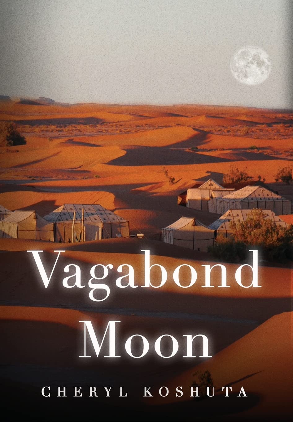 Vagabond Moon: Koshuta, Cheryl: 9781088014486: Amazon.com: Books