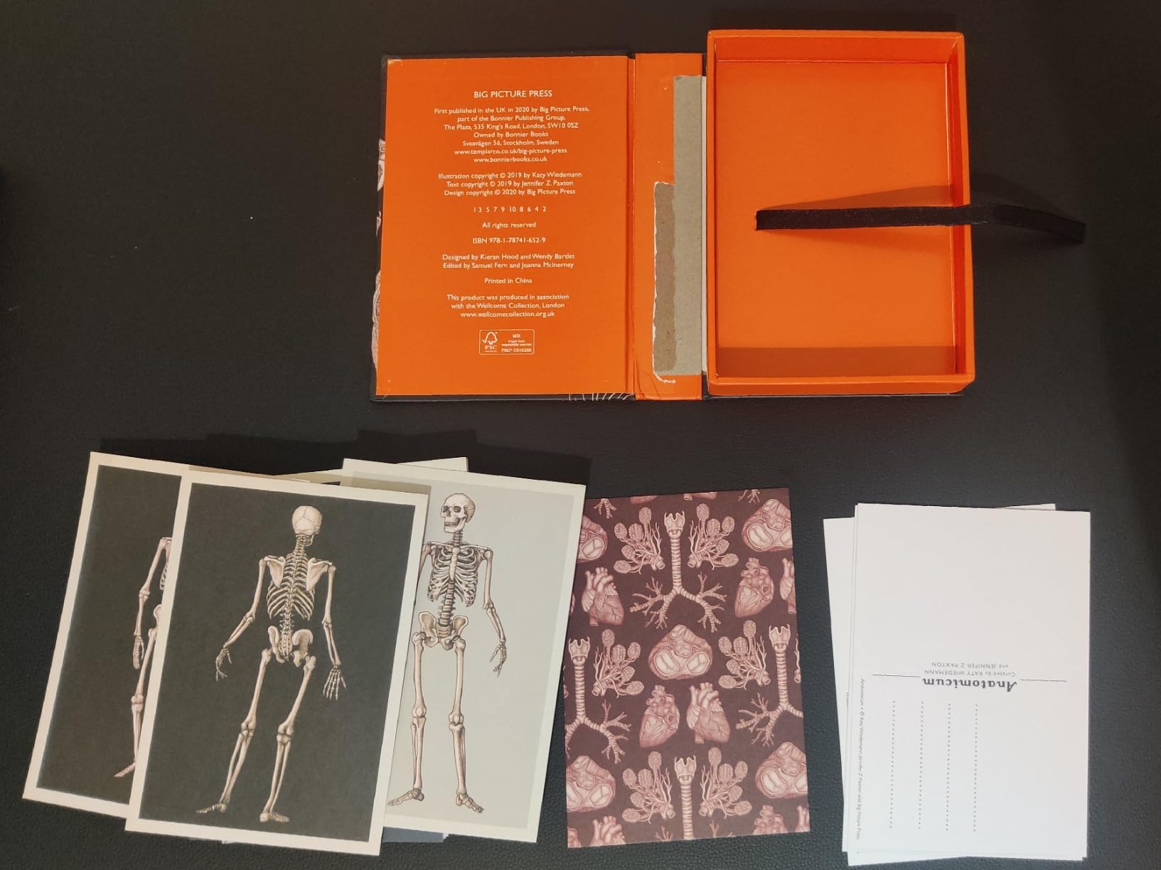 Anatomicum Postcard Box : Wiedemann, Katy, Paxton, Jennifer Z: Amazon ...