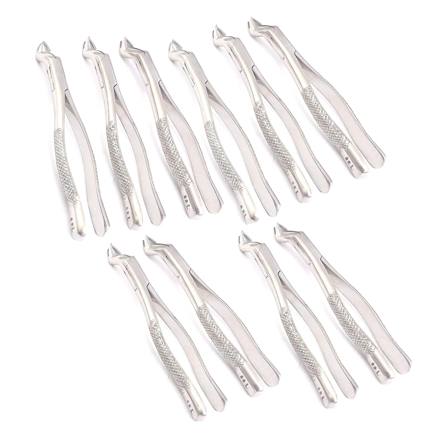 Amazon.com : OdontoMed2011® 10 PCS DENTAL EXTRACTING FORCEP 88L MOLAR ...