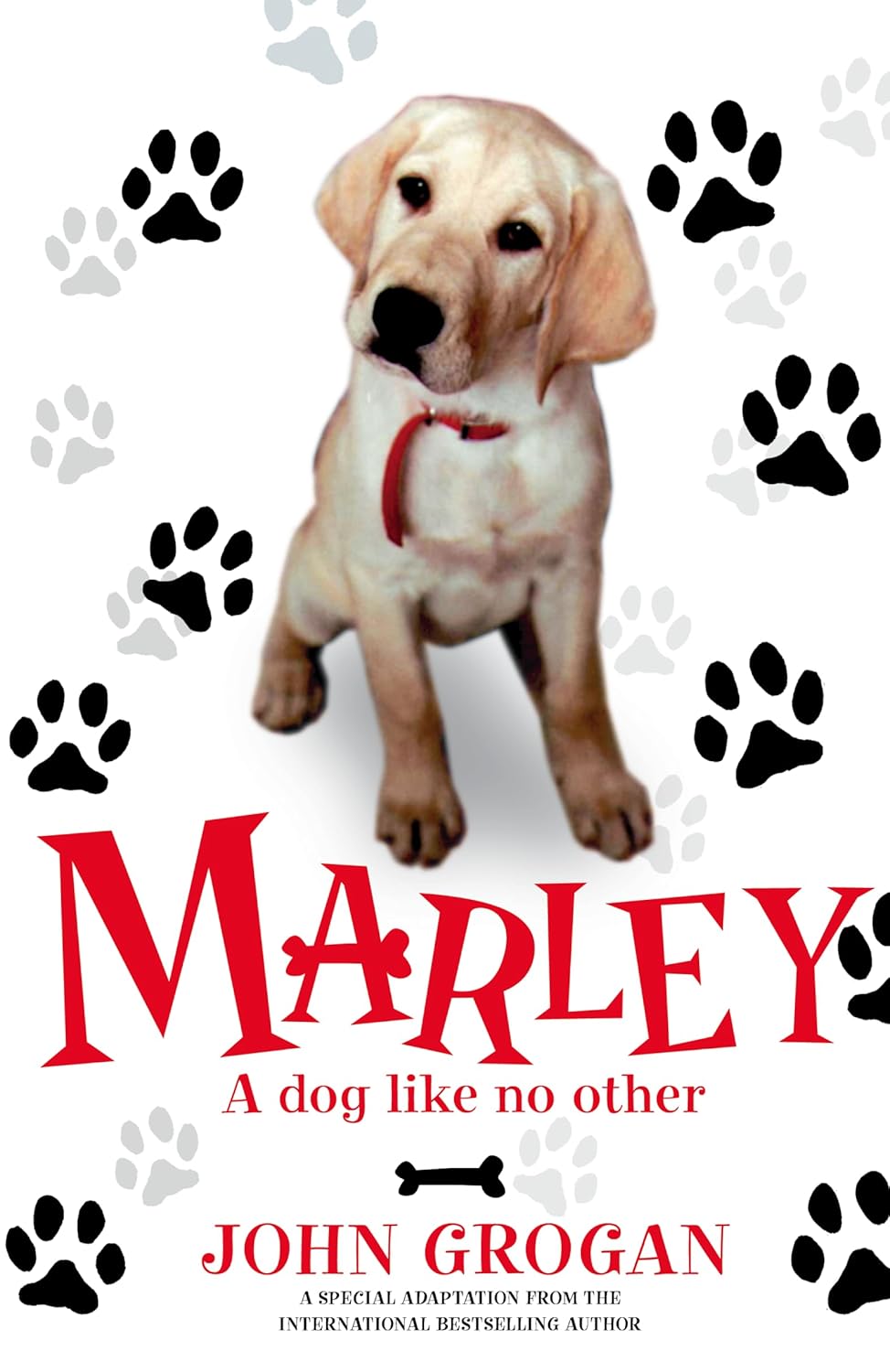 Marley: A Dog Like No Other: John Grogan: 9780007258000: Amazon.com: Books