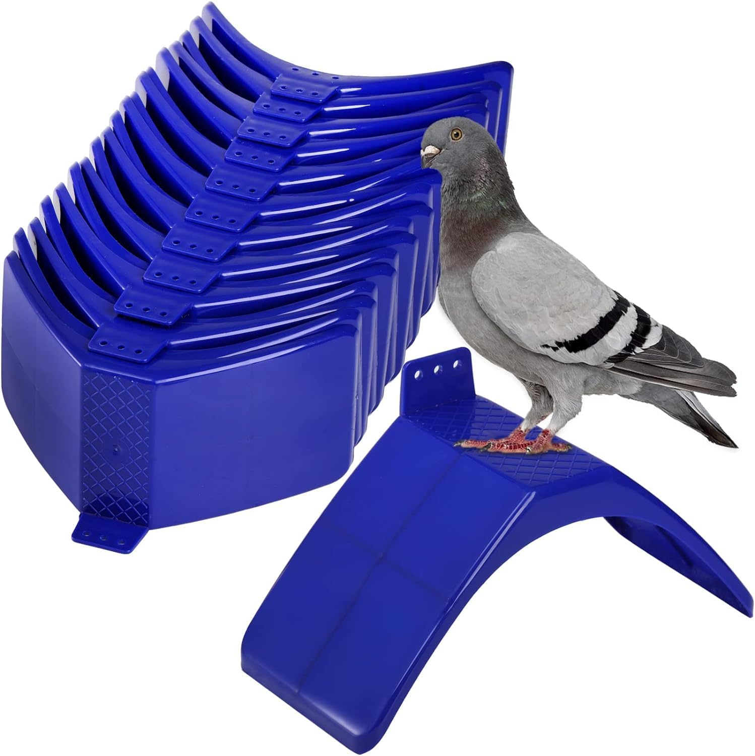 Amazon.com : Ecjiuyi Pigeon Perches,8PCS Lightweight Dove Rest Stand ...