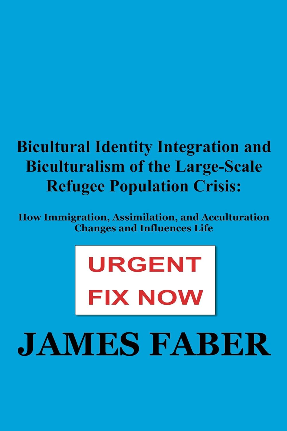 Amazon.com: Bicultural Identity Integration and Biculturalism of the ...