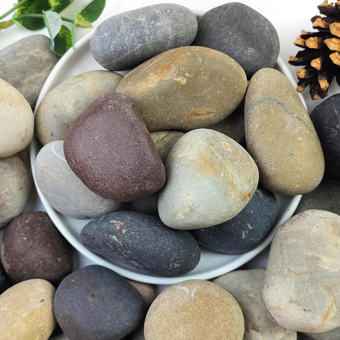 Amazon.com: 15LB River Rocks and 5lb Pebbles Natural Decorative Stone ...