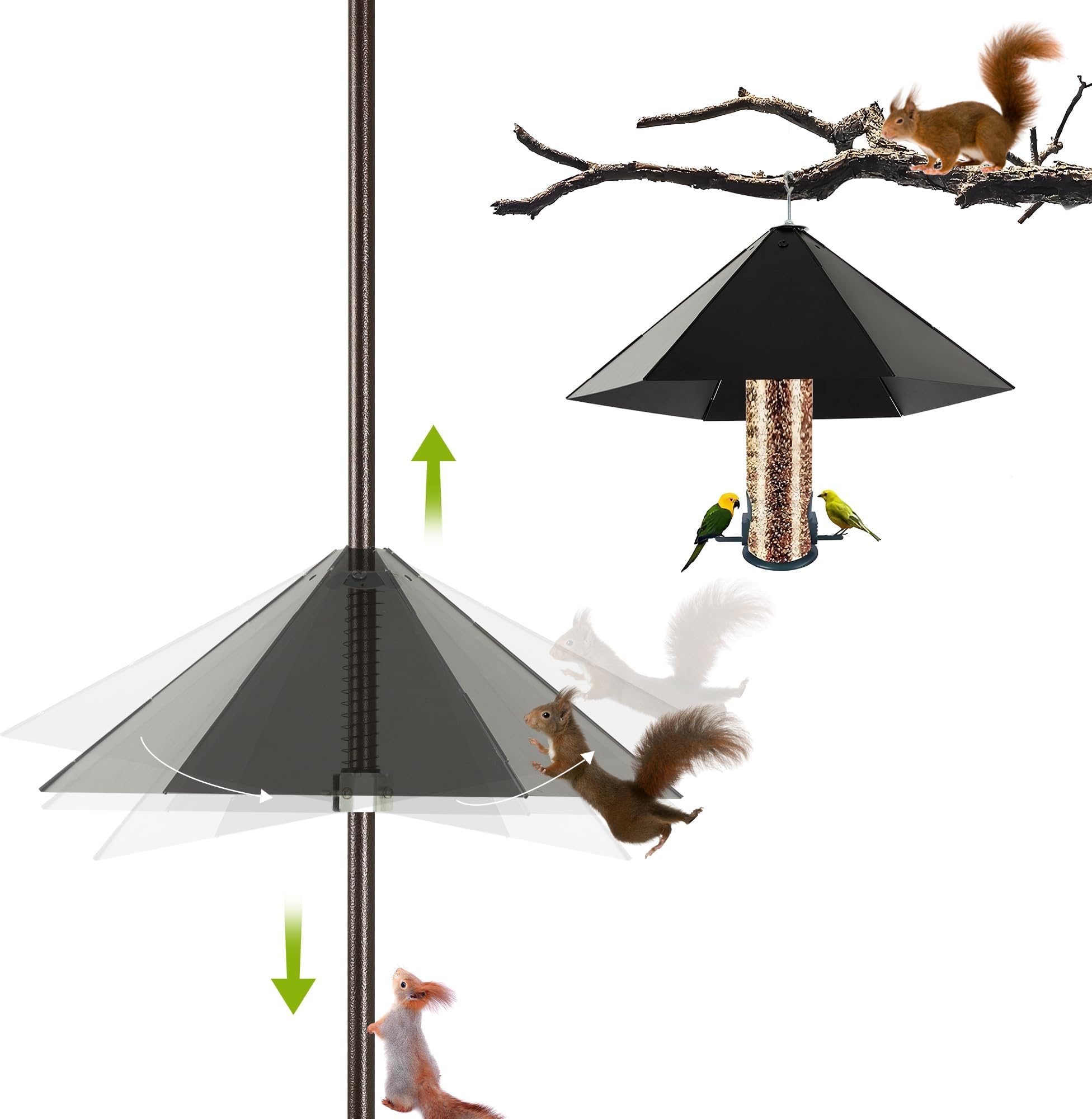Amazon.com : YINGYM Widened 19" Metal Squirrel Baffle for Bird Feeder ...