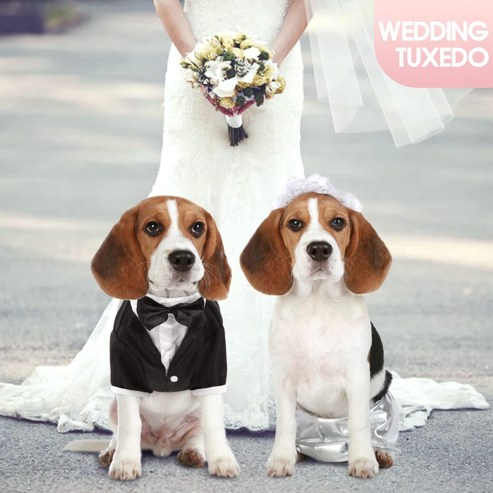 Dog tuxedo for wedding 60 photos - Astyledwedding.com