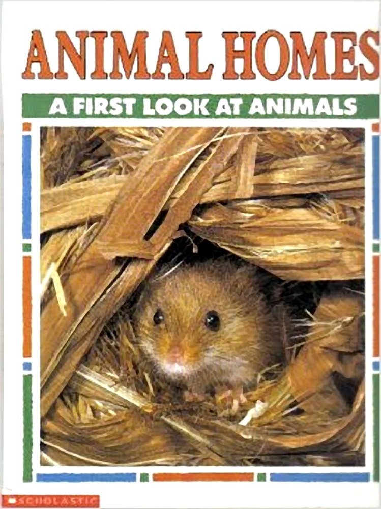 Animal Homes a First Look At Animals: Diane James: 9780590205856 ...