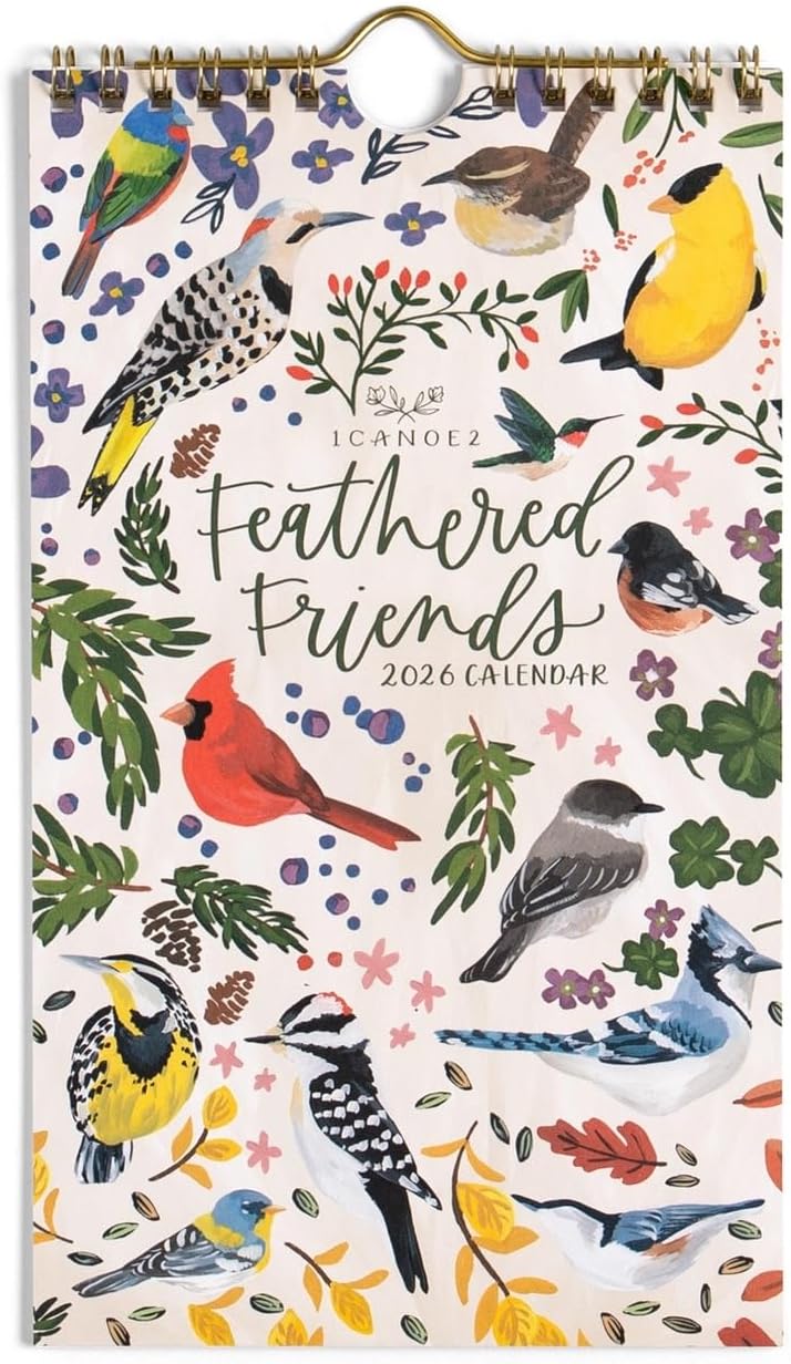 2026 Petite Wall Calendar – Feathered Friends Bird Art by 1Canoe2, 8 ...