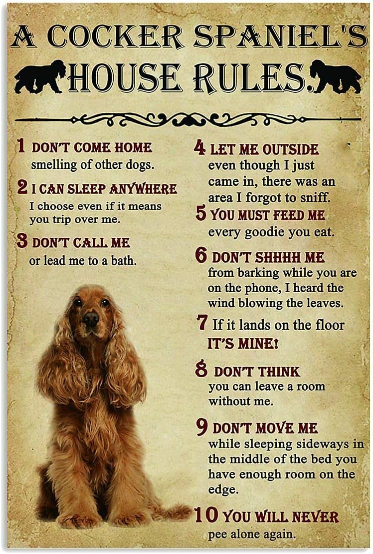 Amazon.com: SIGNCHAT A Cocker Spaniel'S House Rules Yard Garden Farm ...