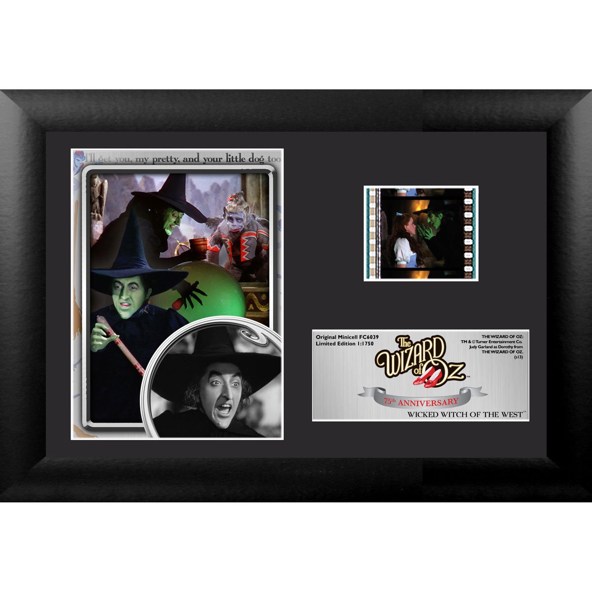 Wizard of Oz 75th Anniversary Wicked Witch Mini Cell : Amazon.ca: Home