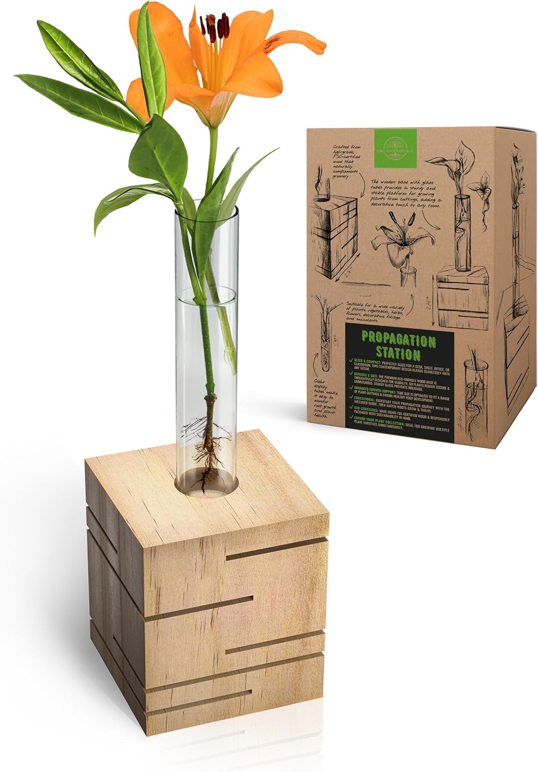 Amazon.com: Plant Glass Propagation Station - 1 Glass Tube, Cube Wooden ...