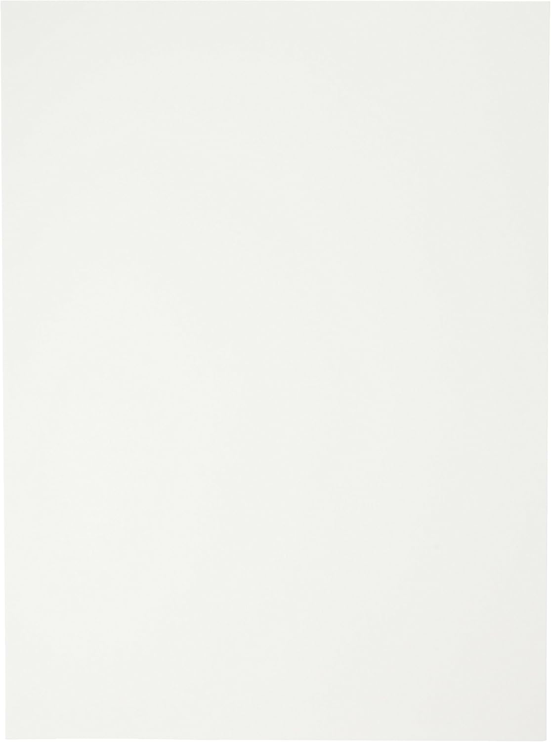 Amazon.com: Canson XL Series Watercolor Sheet Bulk Pack, Midweight ...