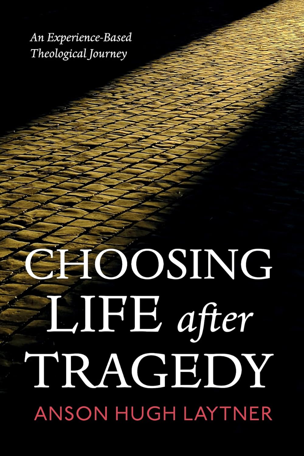 Choosing Life After Tragedy: An Experience-Based Theological Journey: Laytner, Anson Hugh ...