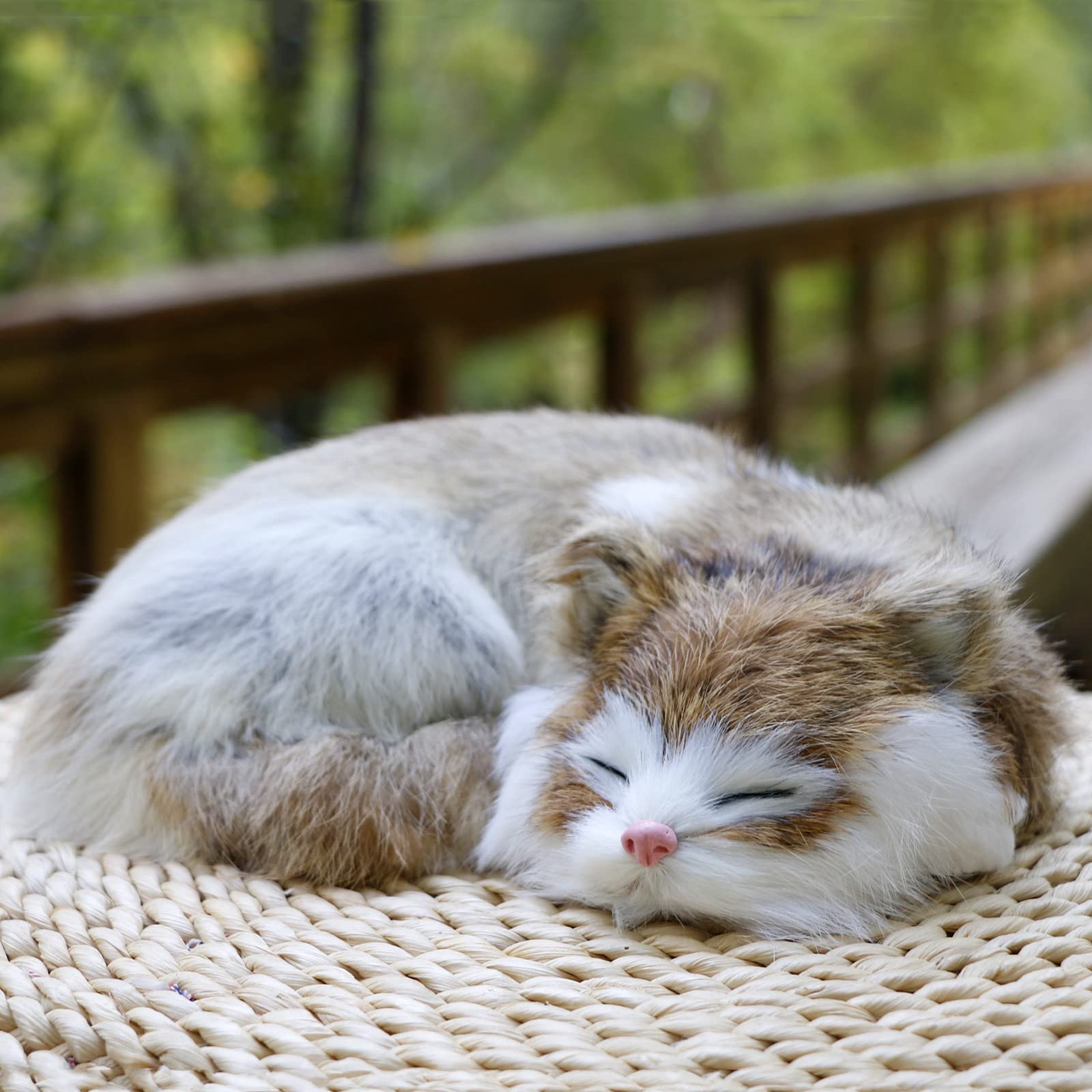 Realistic Sleeping Cat Very Cute Adorable Realistic Sleepy Cat Are