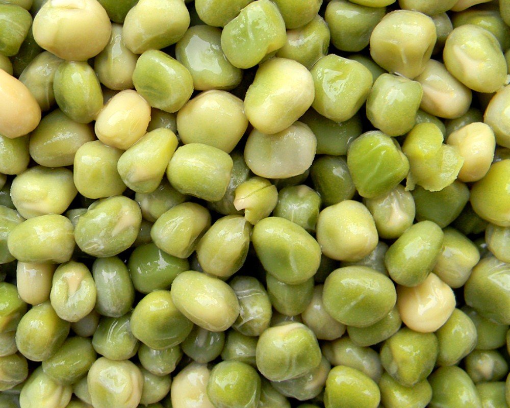 Amazon.com : MARROWFAT PEAS- 22lb : Grocery & Gourmet Food