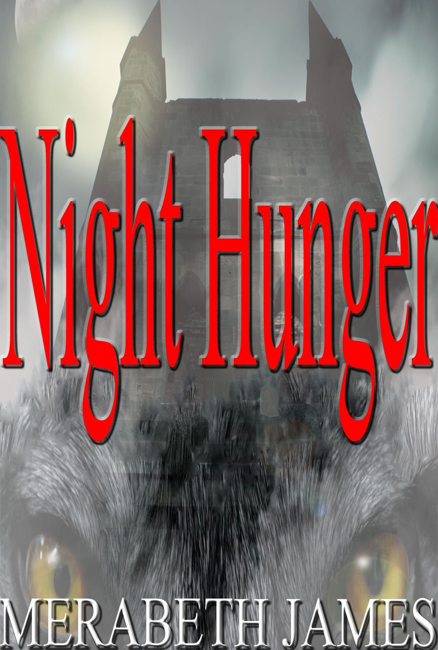 Night Hunger (A Ravynne Sisters Paranormal Thriller Book 7) - Kindle ...