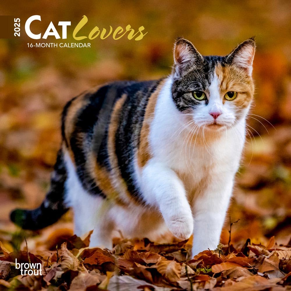 Cat Lovers | 2025 7 x 14 Inch Monthly Mini Wall Calendar | Plastic-Free ...