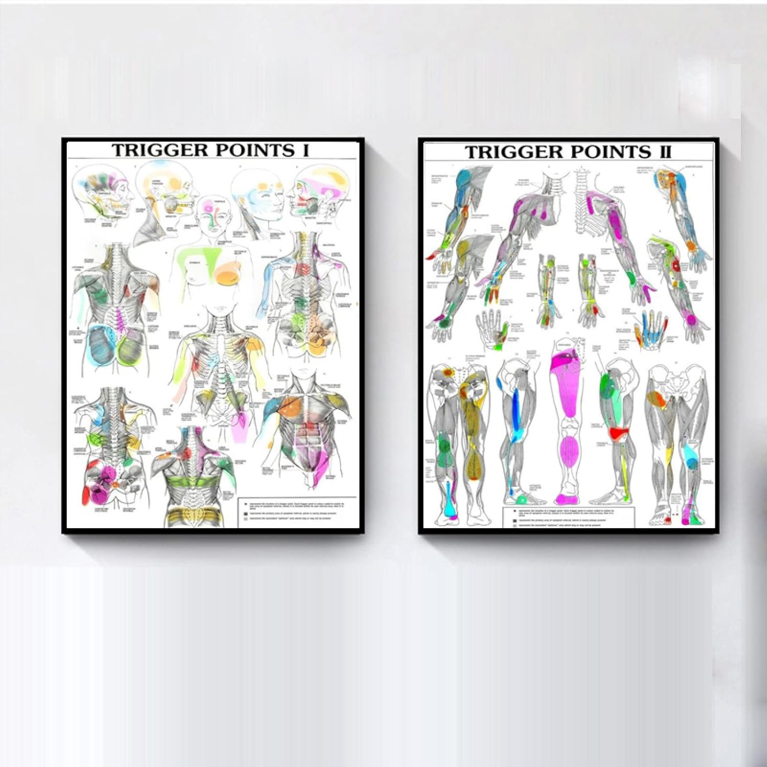 BYHGFDHJFZ Trigger Points Chart Informational Anatomy Poster Medical ...