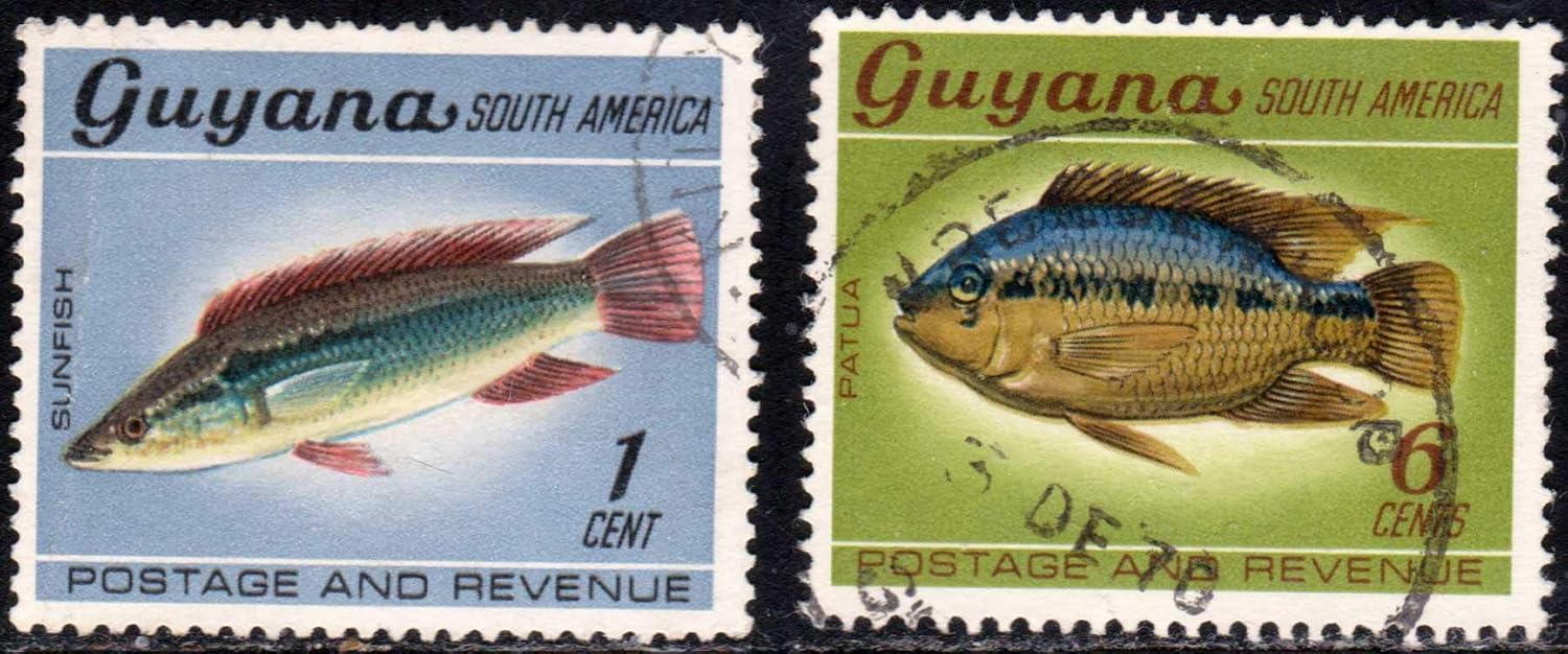 Amazon.com: Sunfish and Patua Fish Guyana Postage Stamps : Toys & Games