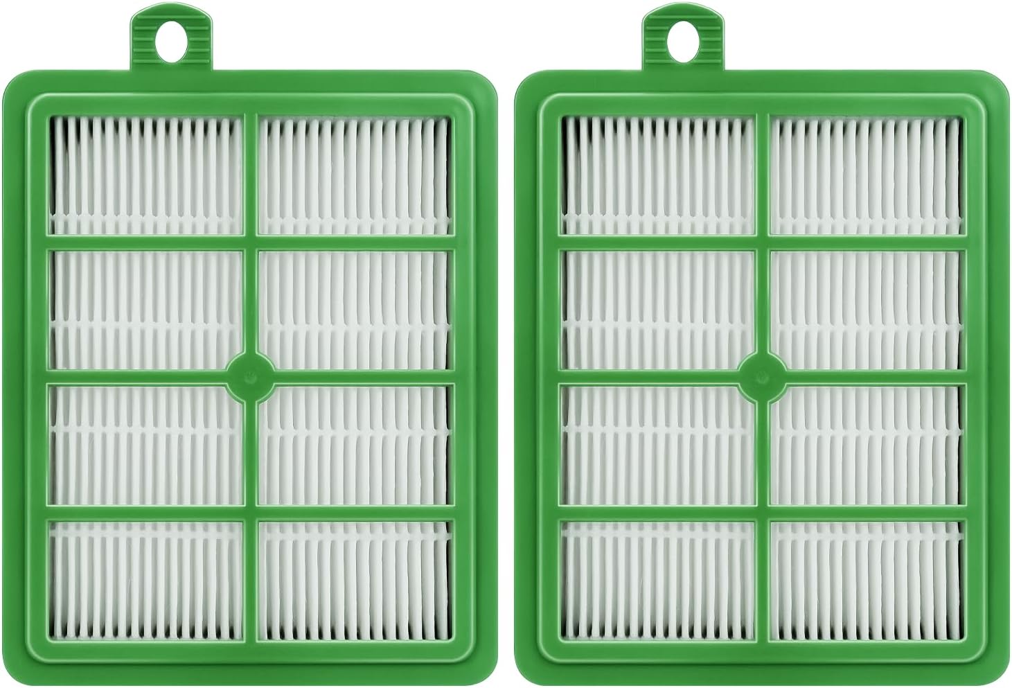 Amazon.com - Electrolux S-filter HEPA Vacuum Filter, Green - Household ...
