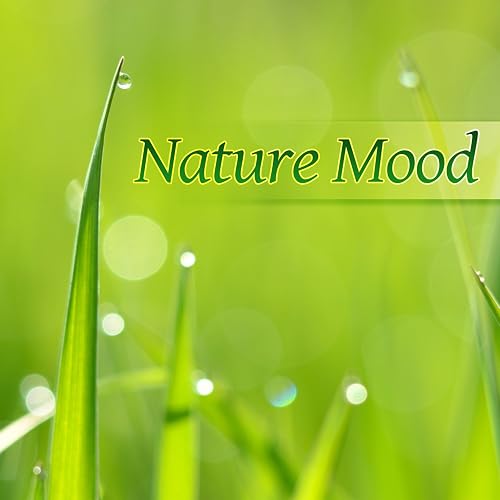Nature Mood – Nature Sounds for Relaxaing and Positive Mind Journey di ...