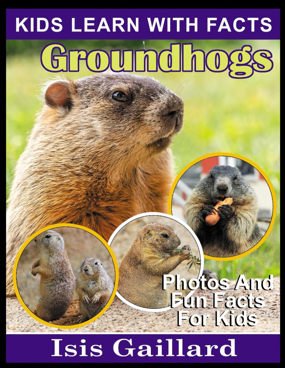 Groundhogs: Photos and Fun Facts for Kids: 146 : Gaillard, Isis: Amazon ...