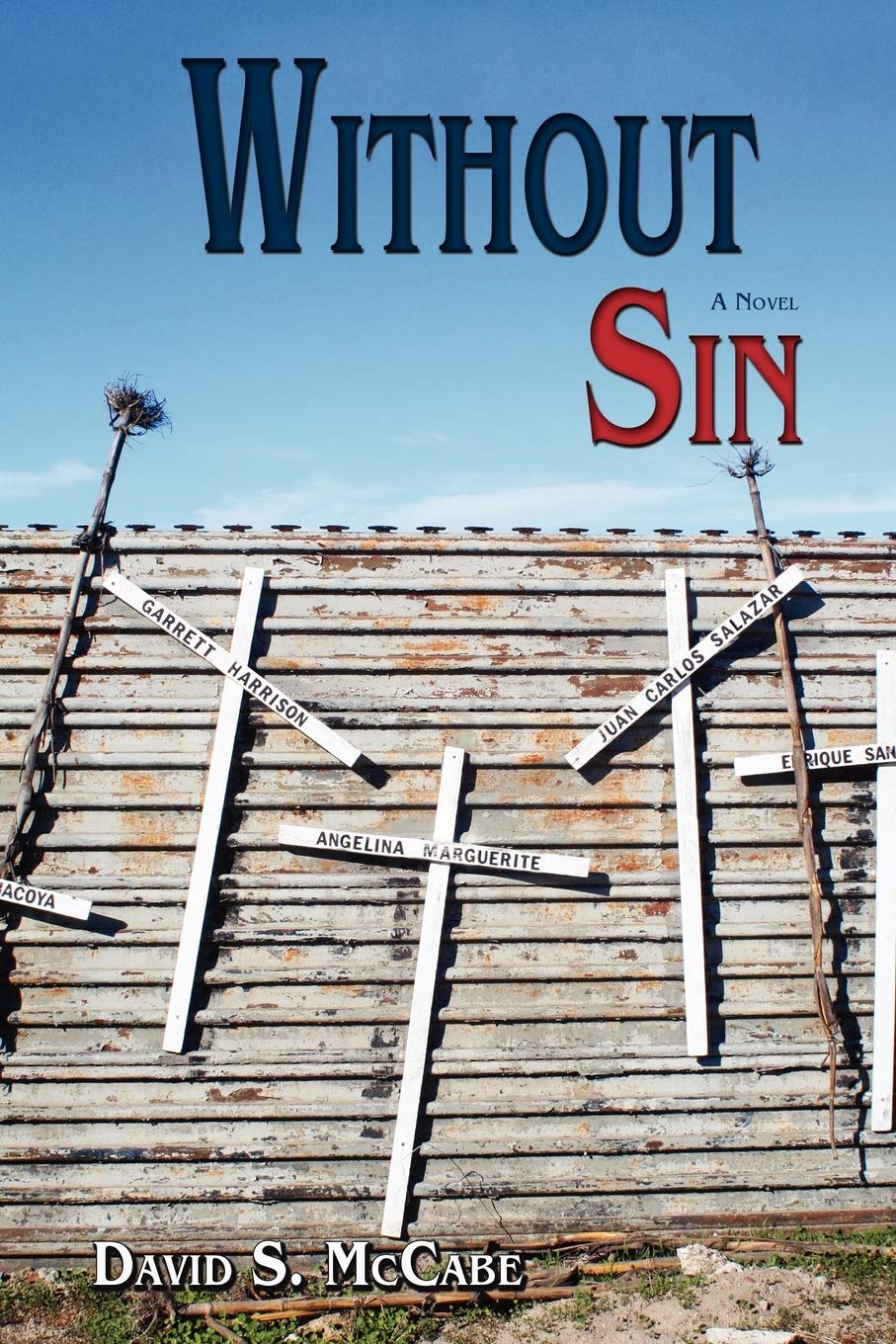 Amazon.com: Without Sin, A Novel: 9780865348783: David S. McCabe: Books