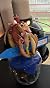 Amazon.com : Sarracenia 'Velvet' Carnivorous Pitcher Plant in 2" Pot ...