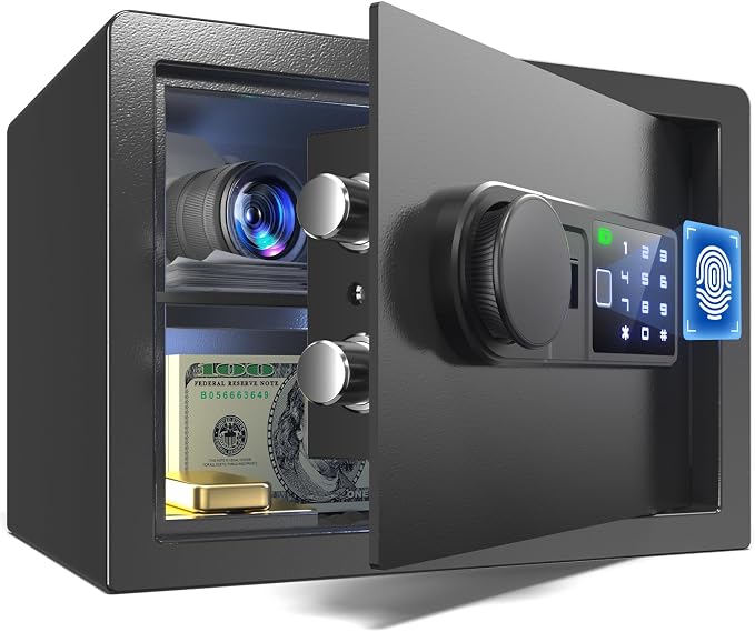 Wendlon Biometric safe with fingerprint lock, Small Safe Box with ...
