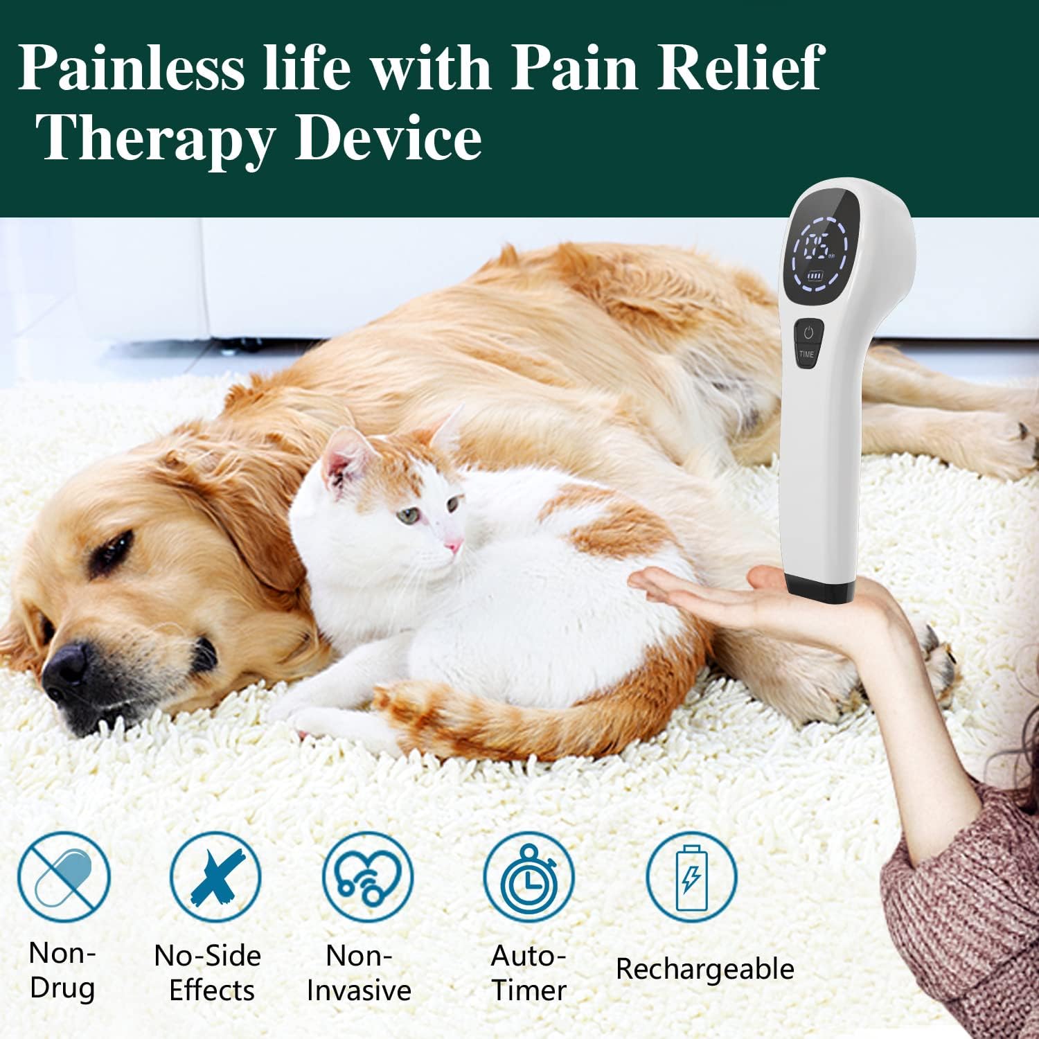 Is Red Light Therapy Good For Dogs