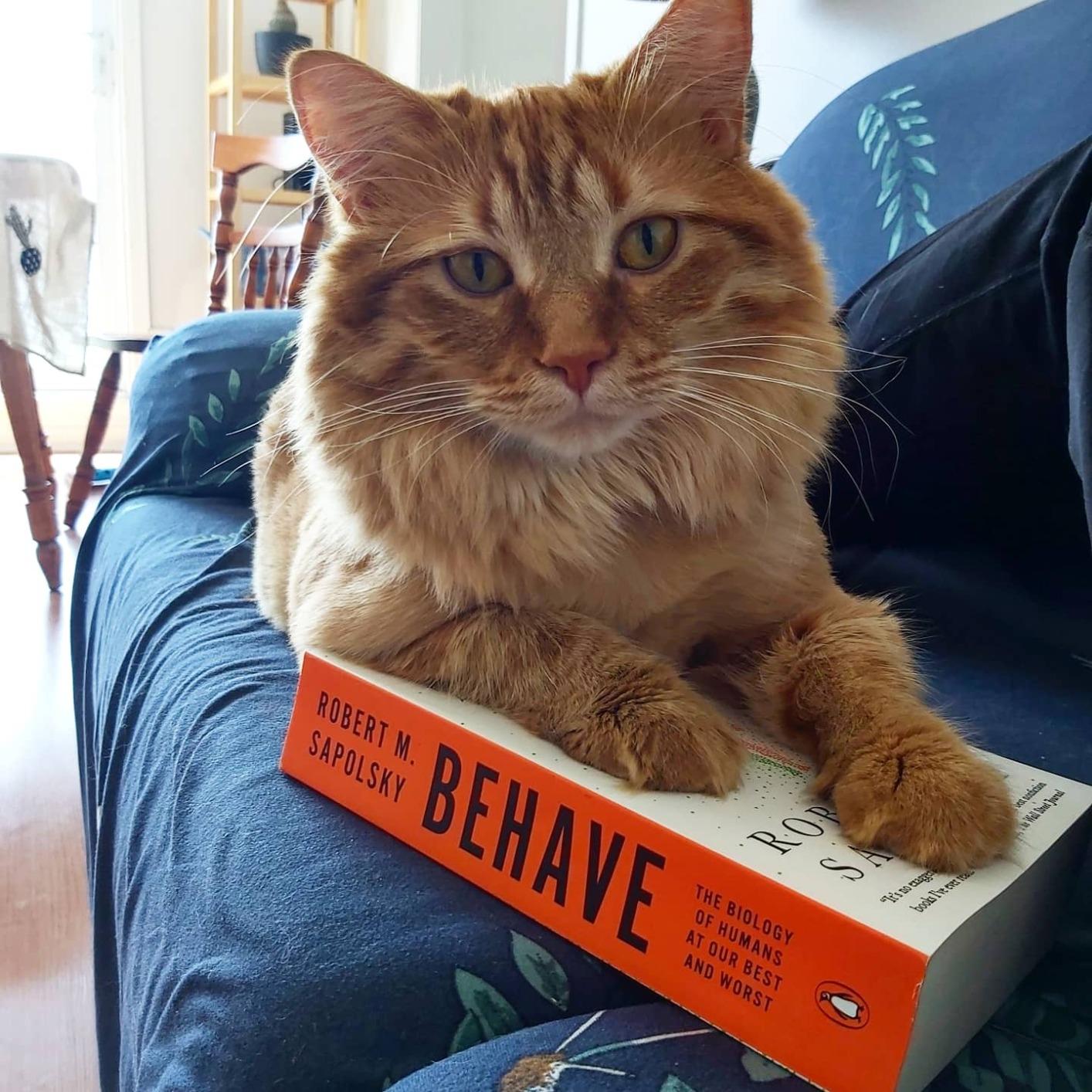 Behave: The Biology of Humans at Our Best and Worst: Sapolsky, Robert M ...