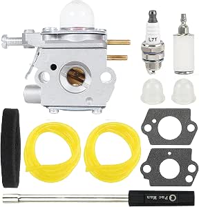 Amazon.com: KELKONG WS2200 Carburetor for Craftsman WS210 CMXGTAMD25CC ...