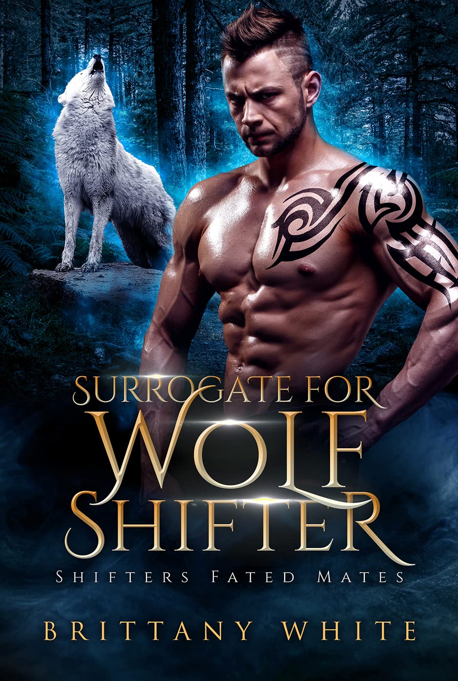 Surrogate For Wolf Shifter (Shifters Fated Mates Book 2) eBook : White ...