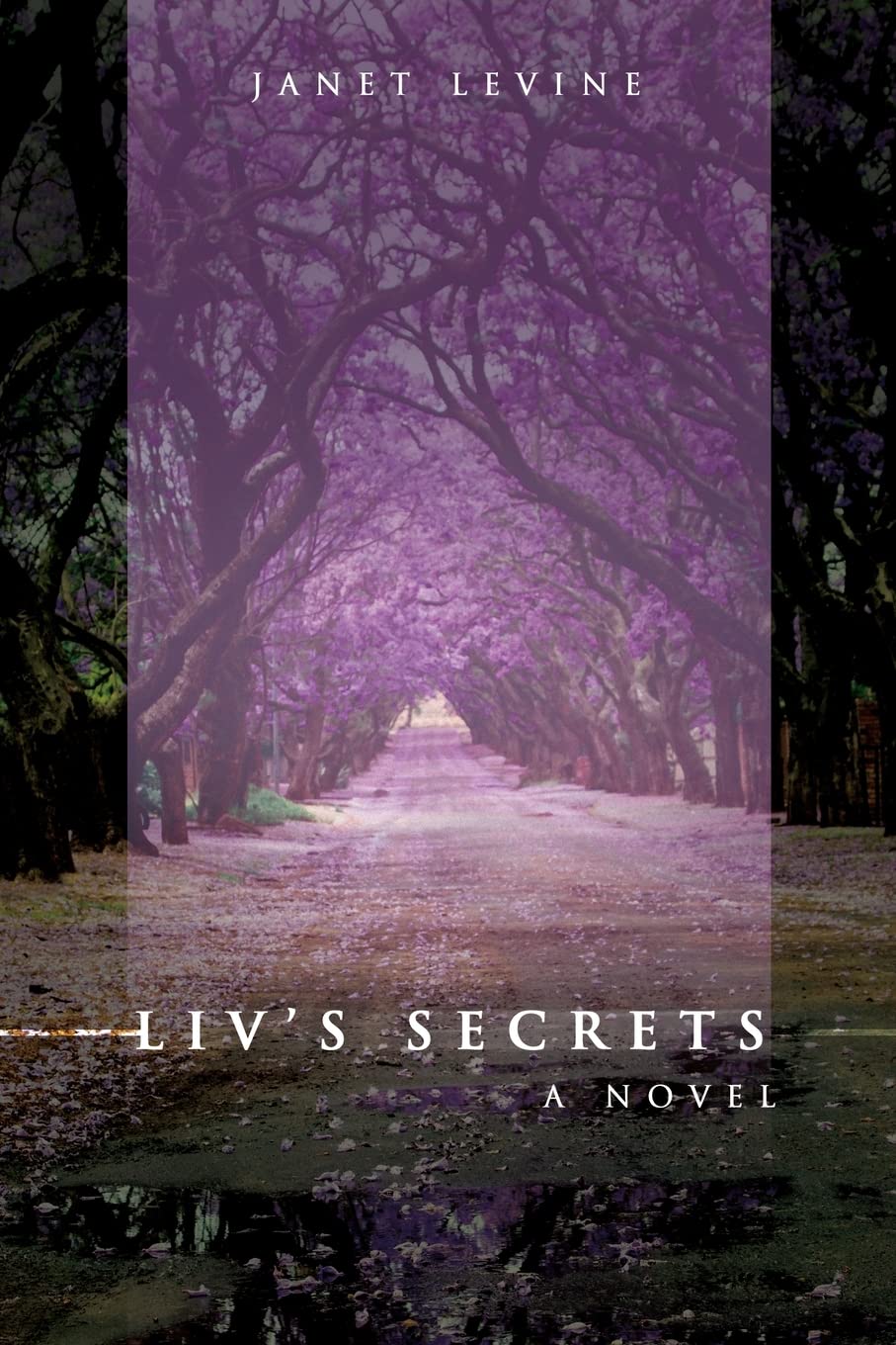 Amazon.com: Liv's Secrets: 9781956450507: Levine, Janet: Books