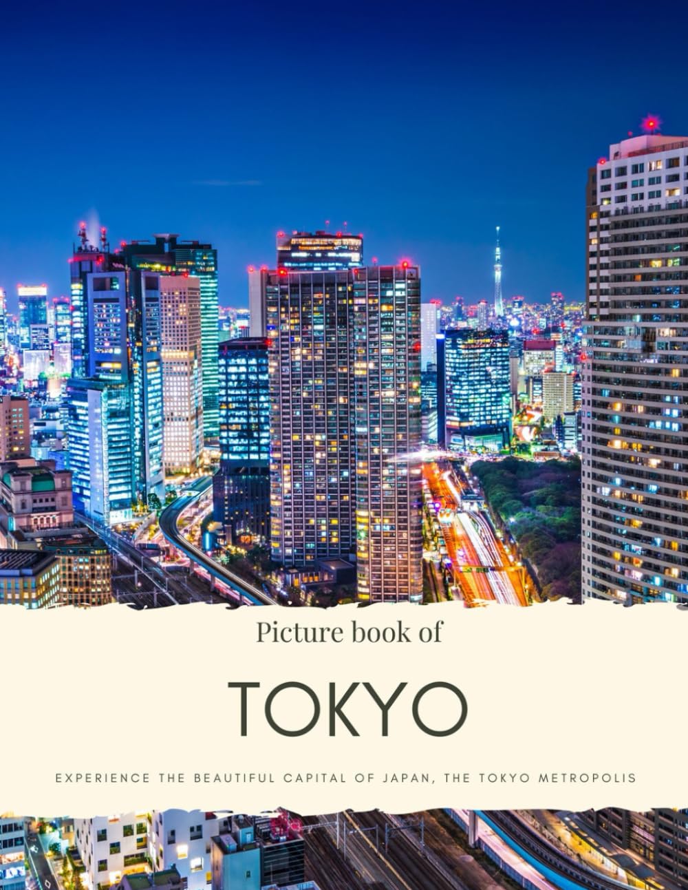 Japan Tokyo Capital Metropolis