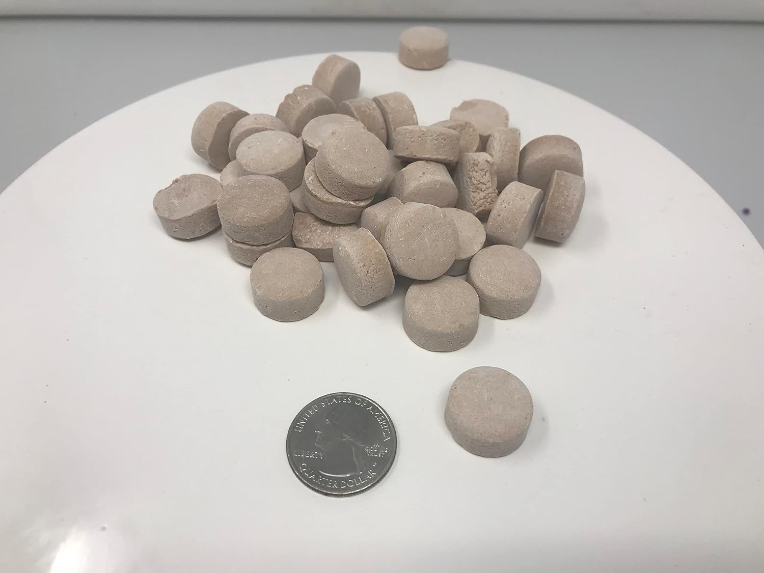 Amazon.com : Chocolate Lozengers Mints Canada Mints 1 pound Chocolate ...