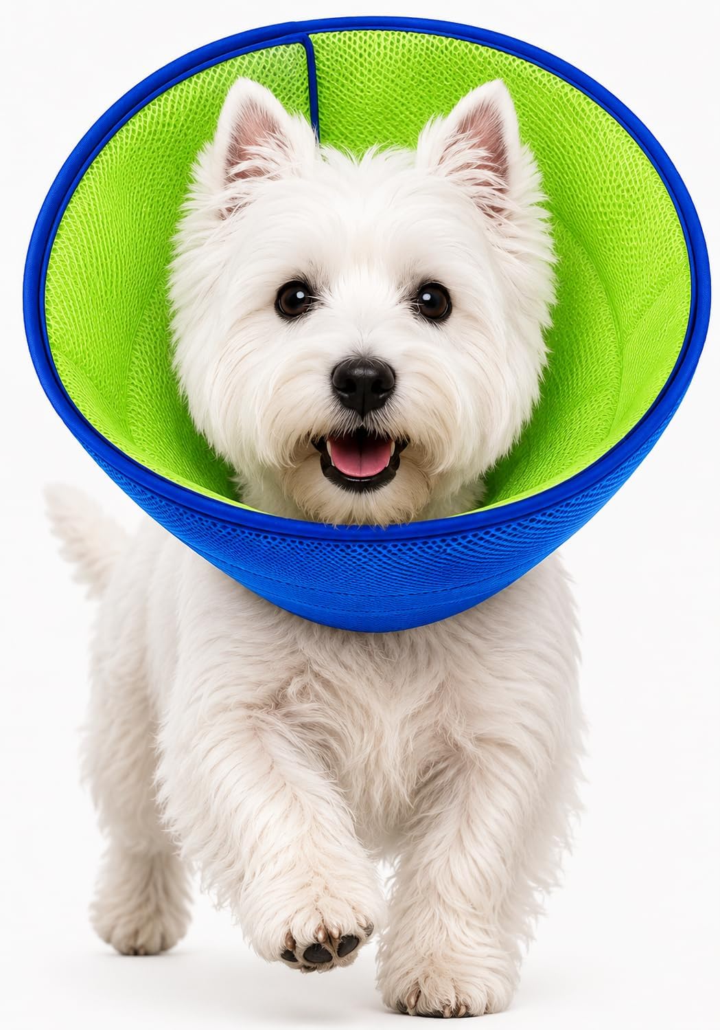 Amazon.com : Babday Dog Recovery Collar for Dogs After Surgery – Soft ...