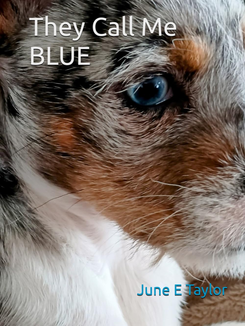 They Call Me BLUE: Taylor WA, June E: 9798294878917: Amazon.com: Books