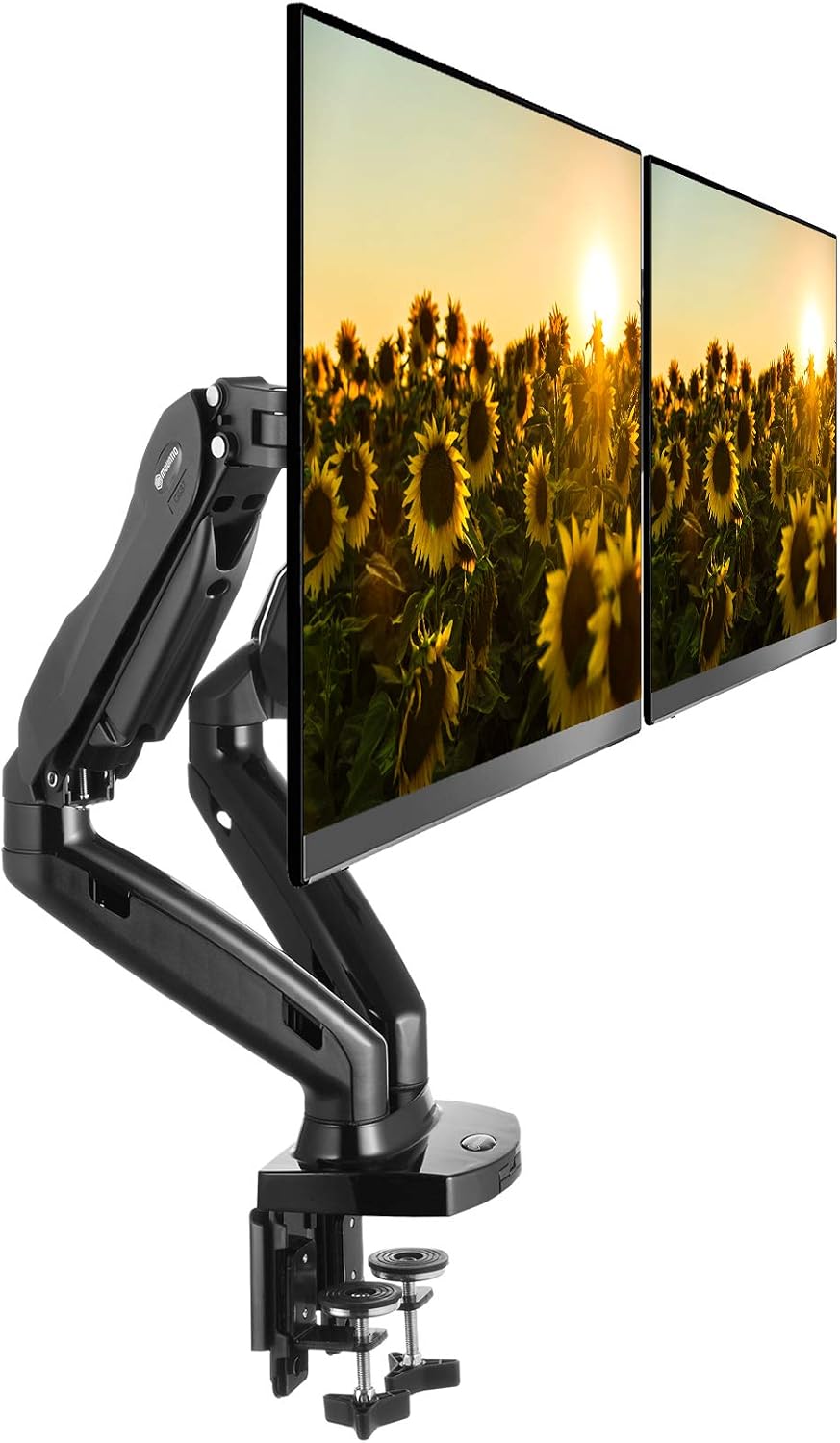 Mountio Full Motion Dual LCD Monitor Mount - Gas Spring Desk Stand for ...