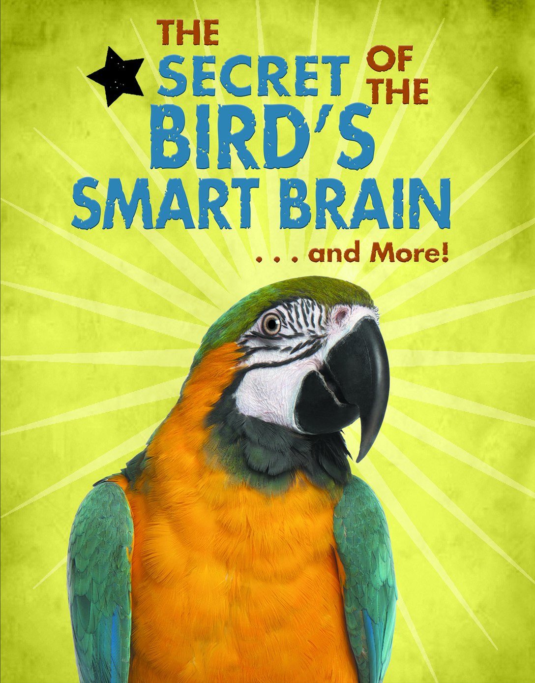 The Secret of the Bird's Smart Brain... and More! (Animal Secrets ...