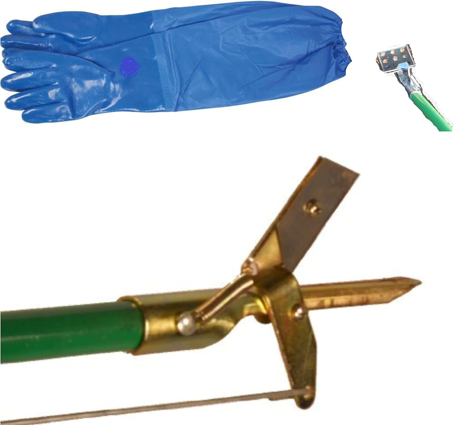 Amazon.com : PondH2o Water Garden Koi Fish Pond Plant Care and ...