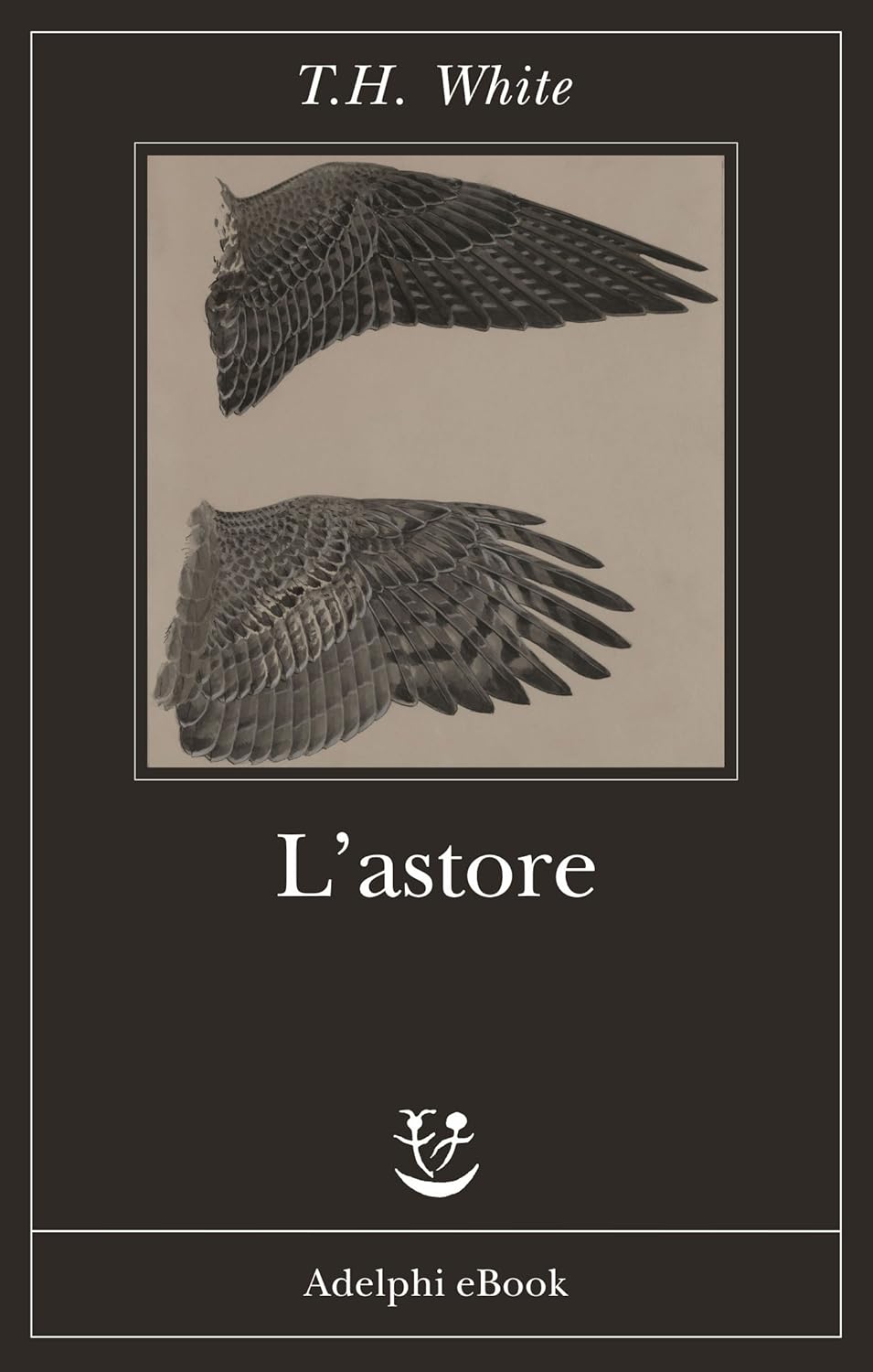 L’astore (Italian Edition) - Kindle edition by White, T.H.. Literature ...