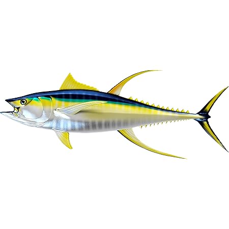 Amazon.com: Yellowfin Tuna Car Stickers Decals Waterproof Car Styling ...