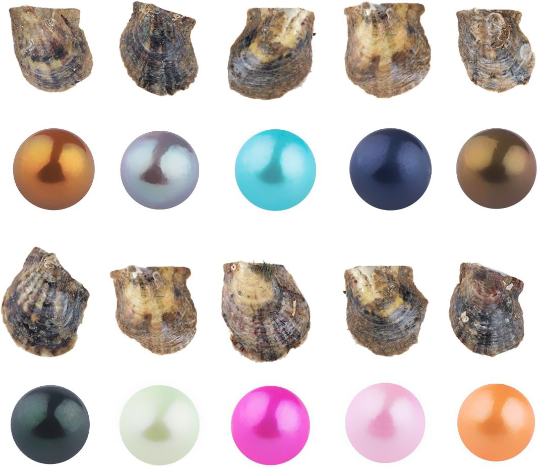 Amazon.com: SEASAN Saltwater Akoya Oysters with Pearls Inside 10 PC (7 ...