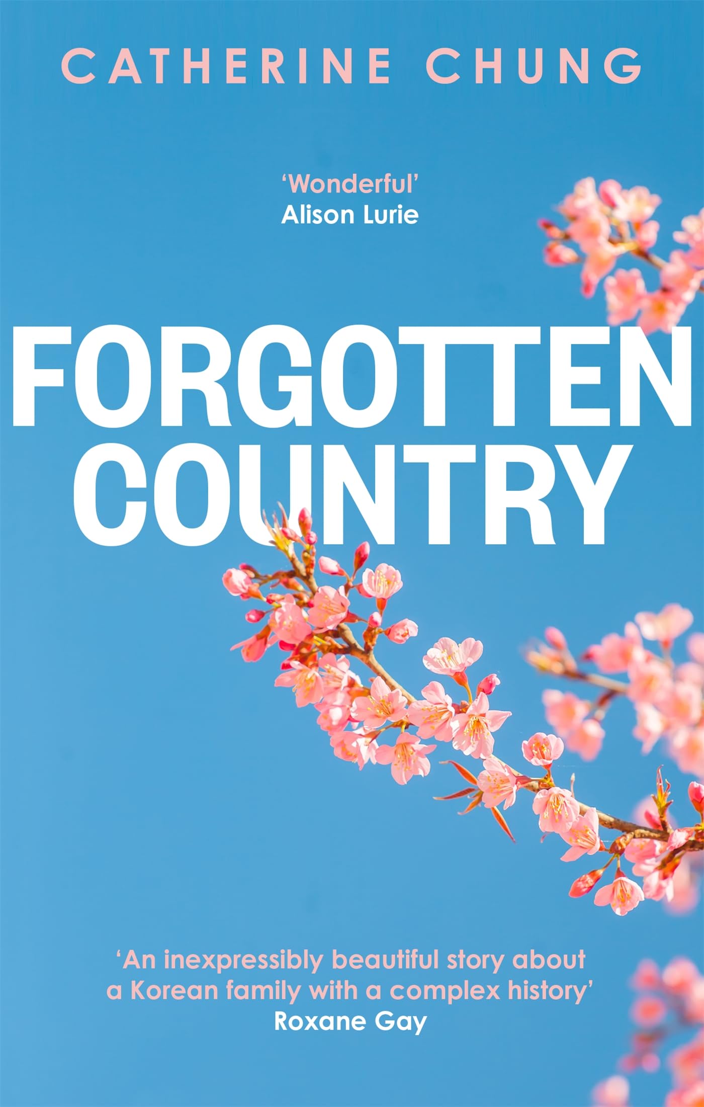 Forgotten Country: Amazon.co.uk: Chung, Catherine: 9780349144054: Books