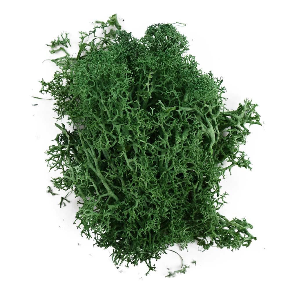 Amazon.com: 20g Artificial Moss Decorative Moss,Artificial Green Moss ...