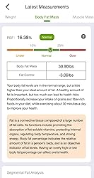 Amazon.com: Professional Body Composition Analyzer Scale with Handheld ...